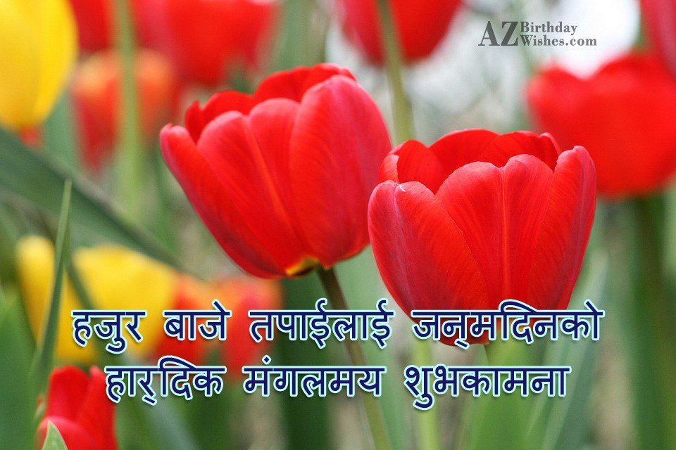 Birthday Wishes In Nepali - Birthday Images, Pictures ...