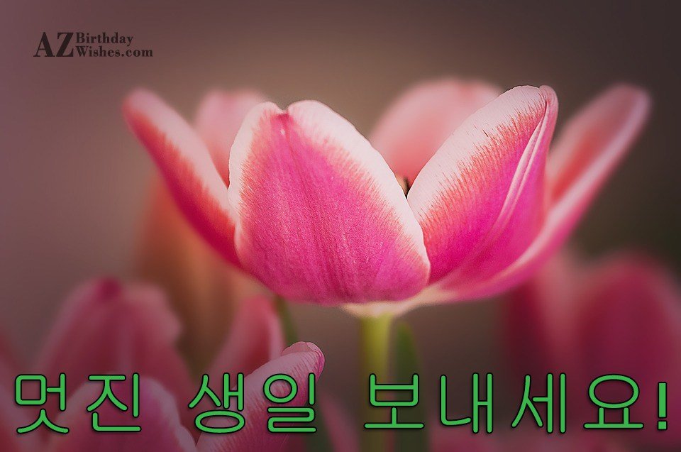Birthday Wishes In Korean Birthday Images Pictures AZBirthdayWishes birthday-wishes-in-korean-birthday-images-pictures-azbirthdaywishes